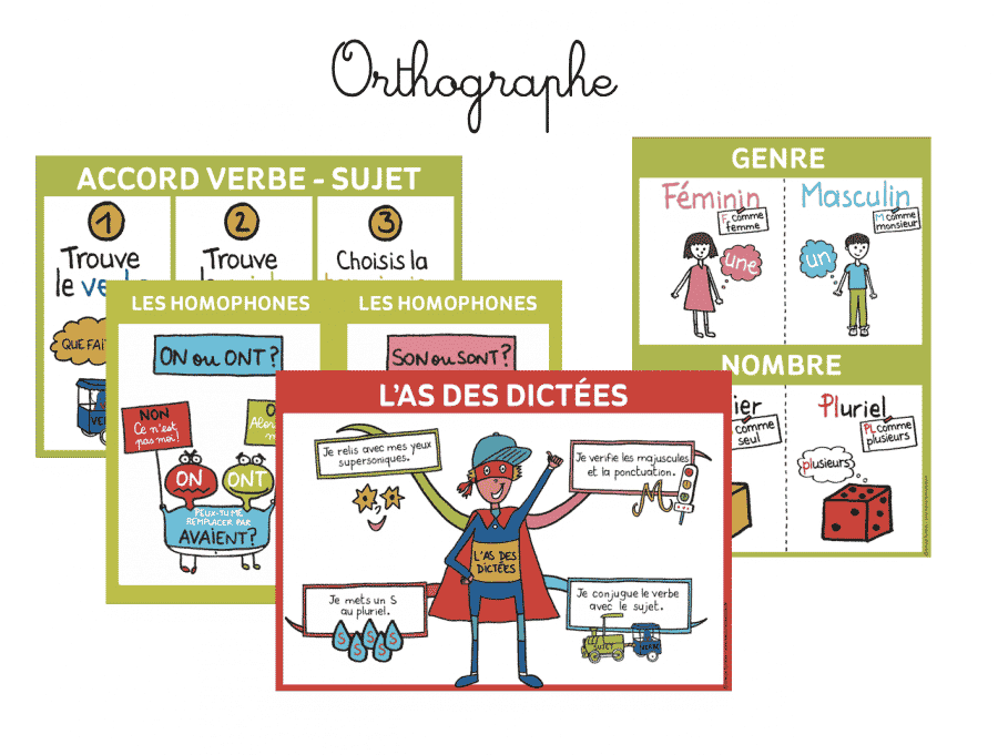 Carte mentale : affichage pour la classe Français (seul)