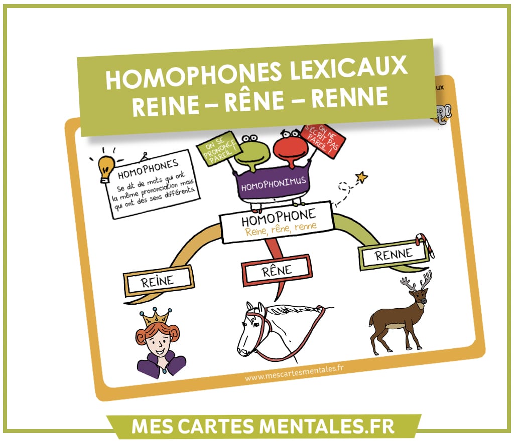 Homophones lexicaux : reine, rêne, renne - Mes cartes mentales