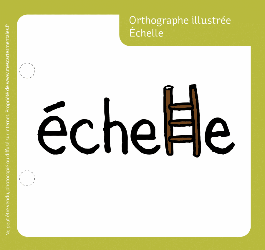 Orthographe illustrée : le mot ÉCHELLE - Mes cartes mentales