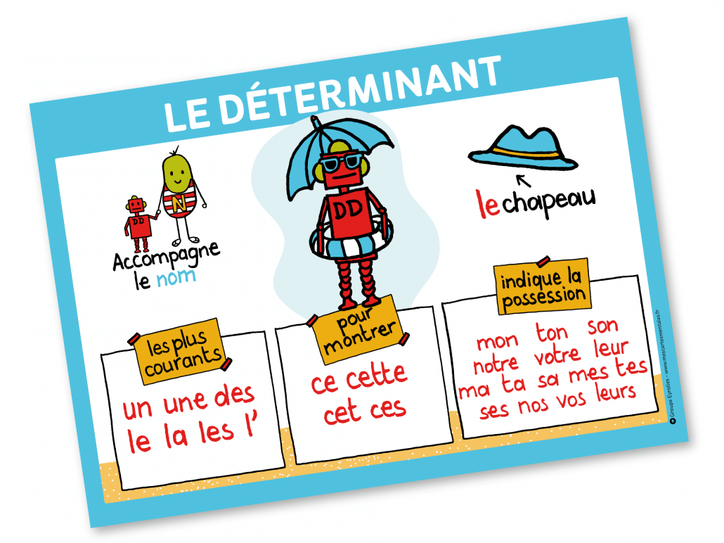 Les déterminants - Affiche format A2