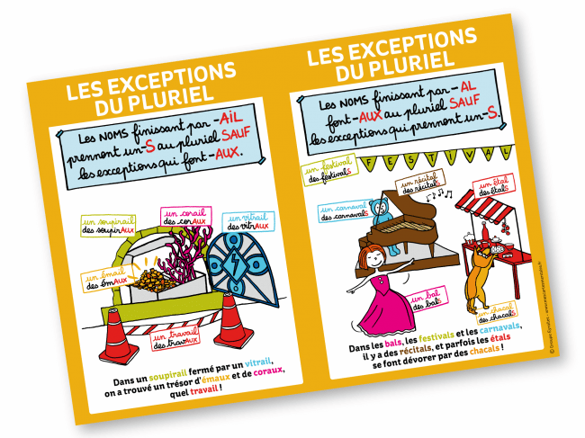 Les Exceptions Du Pluriel Al Ail Affiche Format A2 5524
