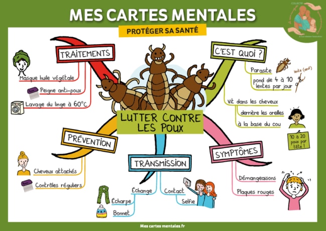 Santé et bien-être : lutter contre les poux