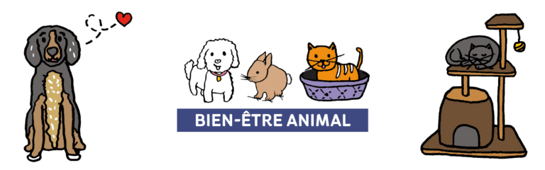 Espace prévention : bien-être animal