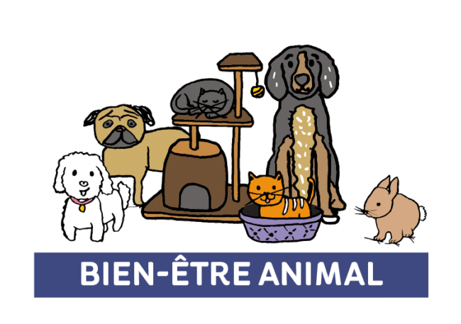 Espace prévention : bien-être animal