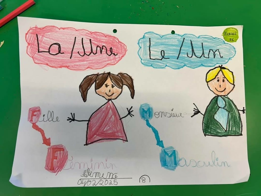 Astuces pour expliquer le genre et le nombre - Mes cartes mentales