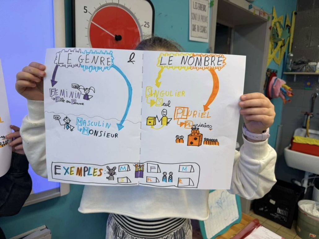 Astuces pour expliquer le genre et le nombre - Mes cartes mentales